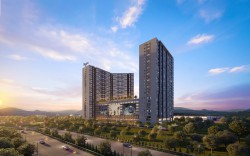 Myra Park Site Progress